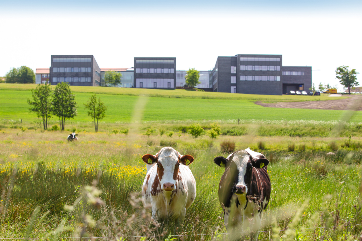 About Agro Food Park